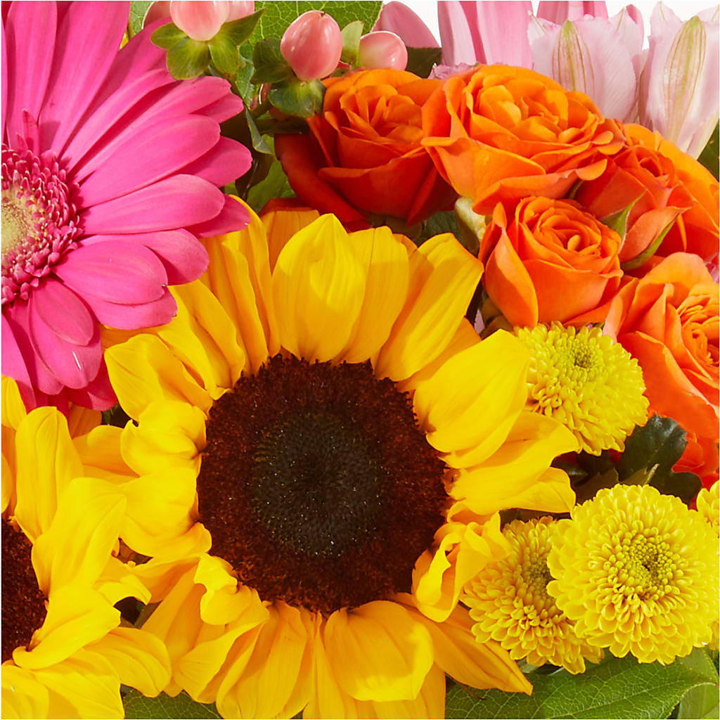 Orlando Florist | Same Day Flower Delivery by Blossom And Belle